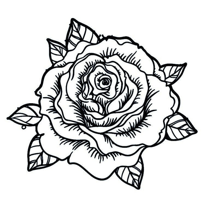 Temporalis | Natural & Long-Lasting Temporary Tattoos